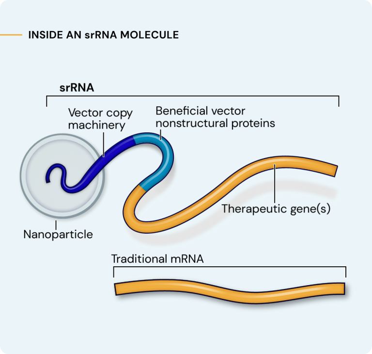 Our Science | Replicate Bioscience