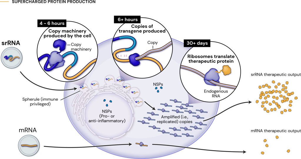 Our Science | Replicate Bioscience